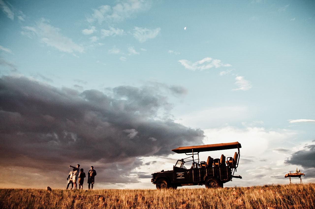 Namibia Safari South Africa | Forth & Wonder