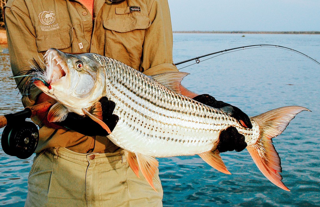 Fishing Adventures Africa & Indian Ocean - African Travel Specialist
