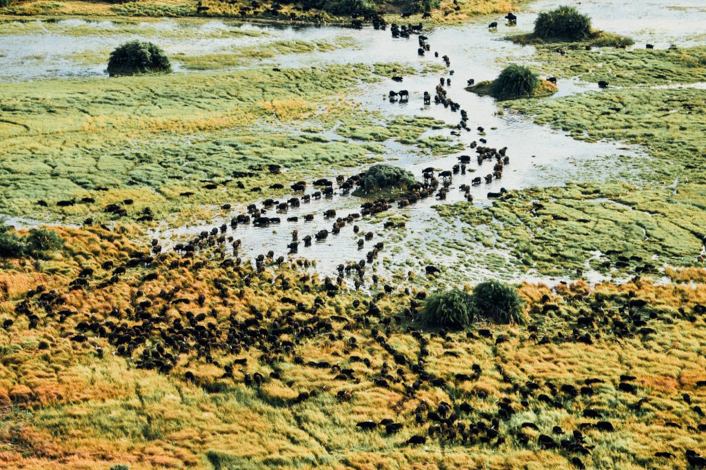 Travel for Unique Landscapes Africa - African Travel Specialists