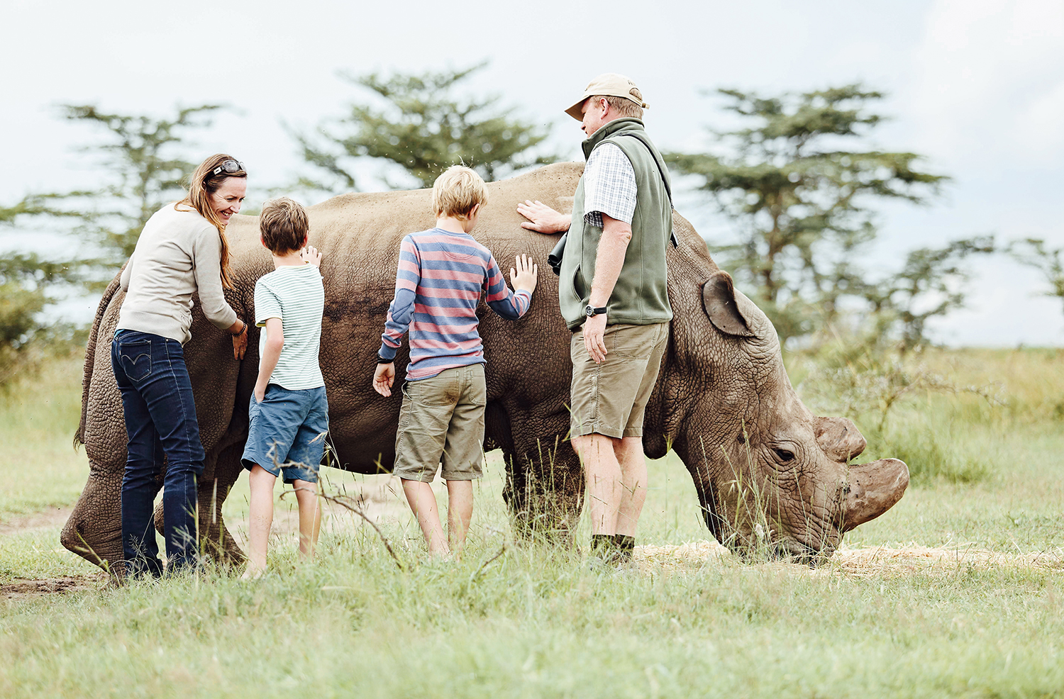 Get to Know: The Remarkable Rhino | Forth & Wonder