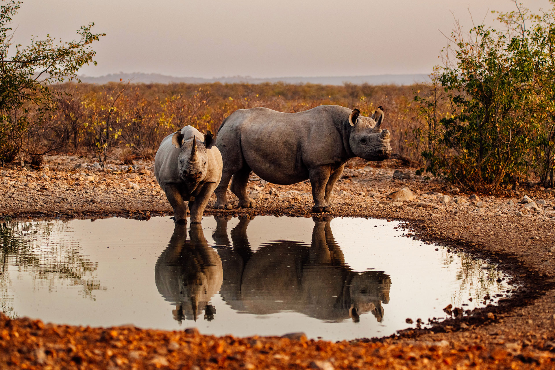 How to choose destination & timing for Africa travel %%page%% %%sep ...